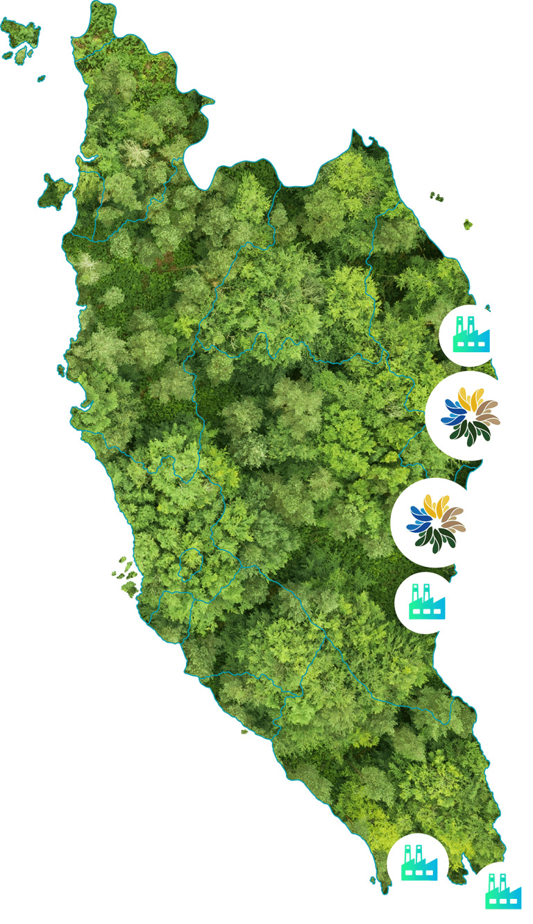 Our Location – Greenverse